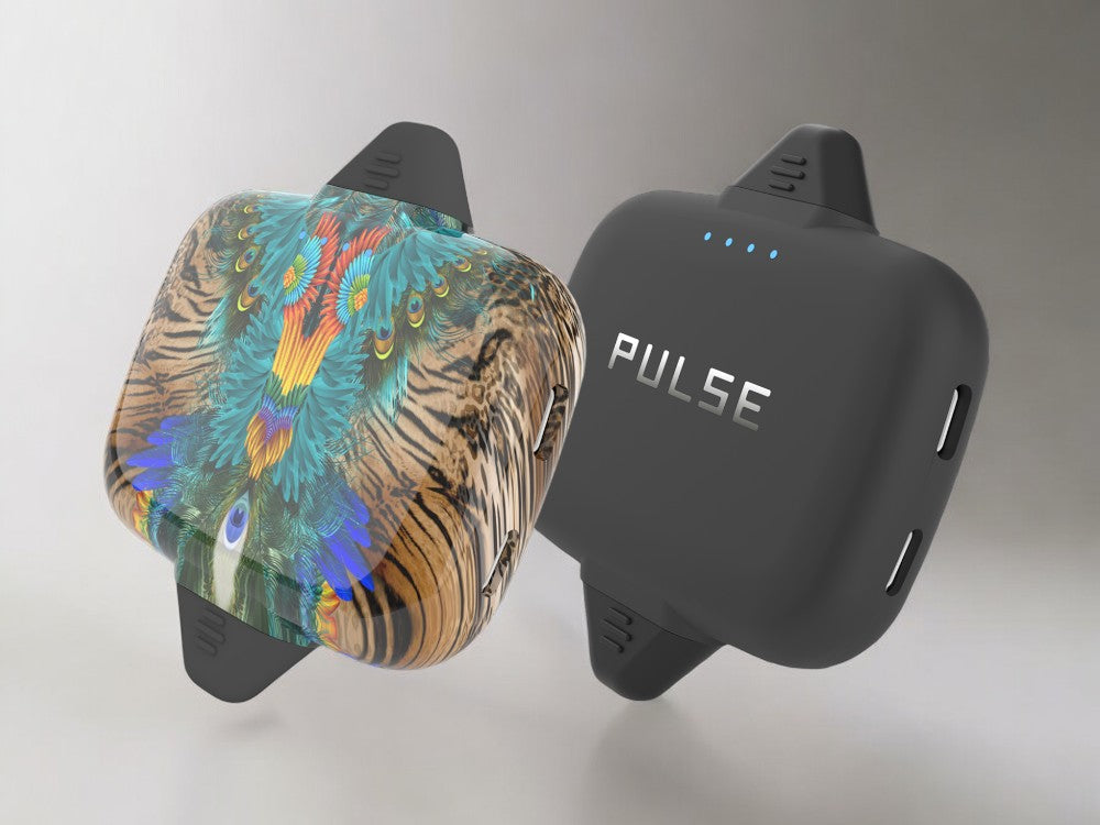 Pulse Charge: Your Power Solution