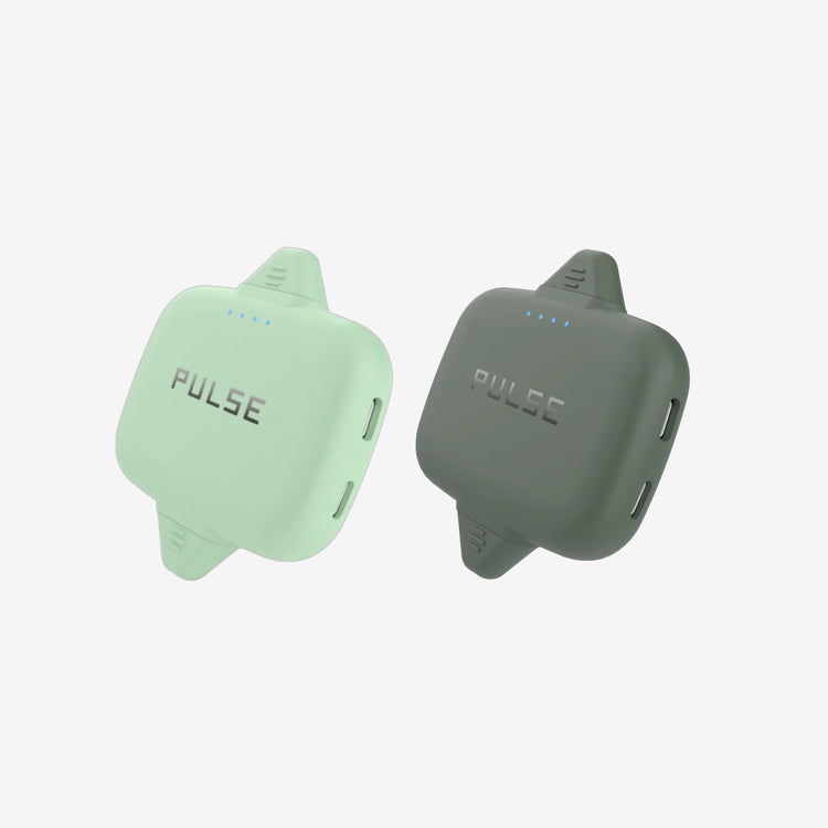 Pulse Charge: Your Power Solution