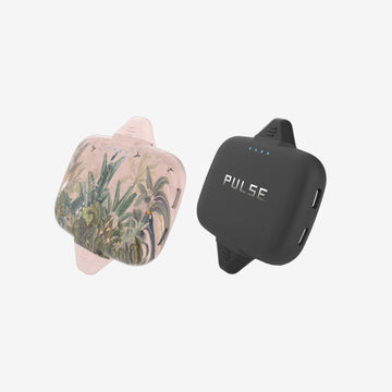 Pulse Charge: Your Power Solution