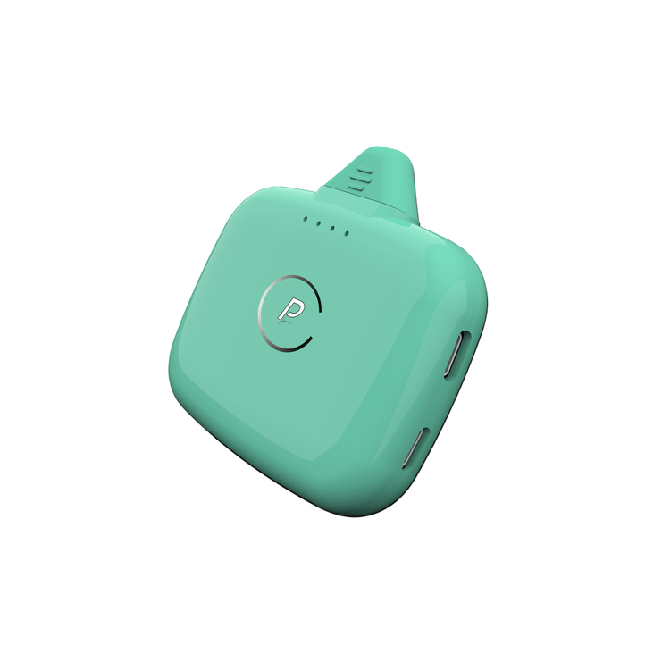 Products – Pulse Charge